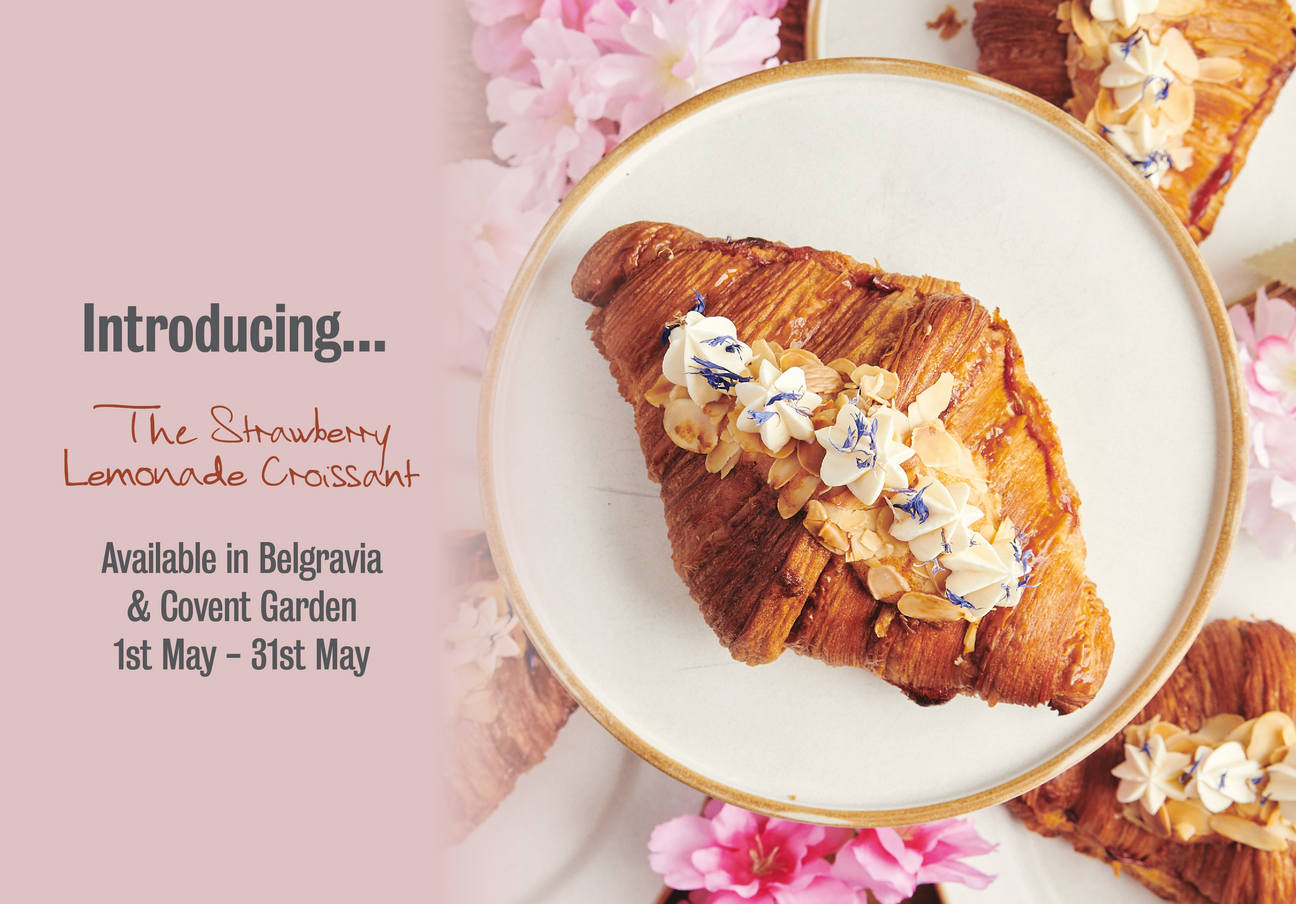 Chestnut Bakery | Bread, Pastries & Desserts | Belgravia